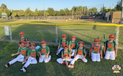 Magnolia Center Little League > Home